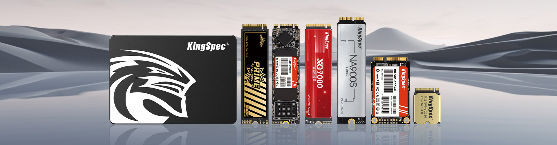 KingSpec Internal SSD Hard Drives – Kingspec Tech